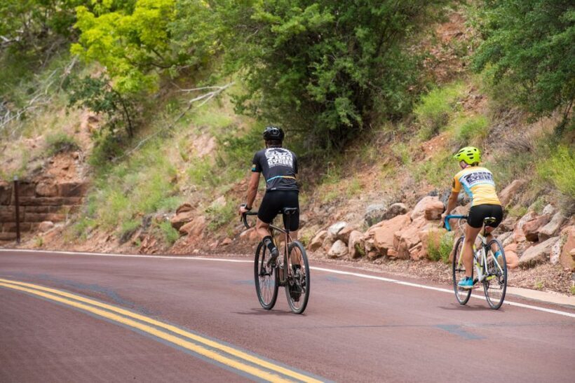 From Springdale: Zion National Park Bike Tour - From Springdale: Zion National Park Bike Tour — A Practical Guide to a Scenic Ride