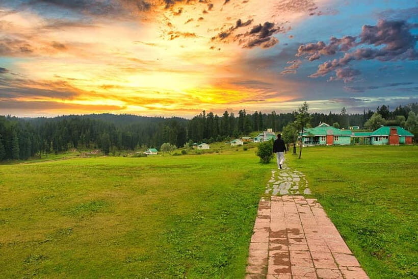 From Srinagar Full Day Trip of Yousmarg - Key Points