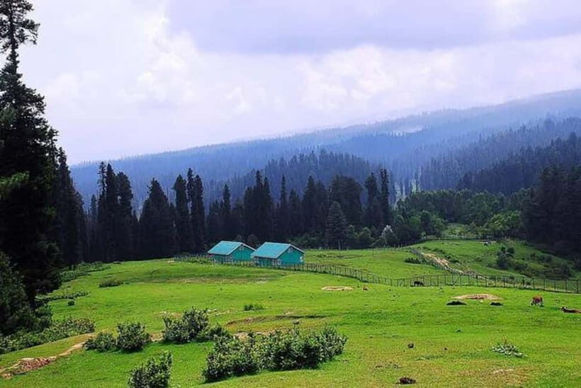 From Srinagar Full Day Trip of Yousmarg - Introduction: What to Expect from the Yusmarg Day Trip