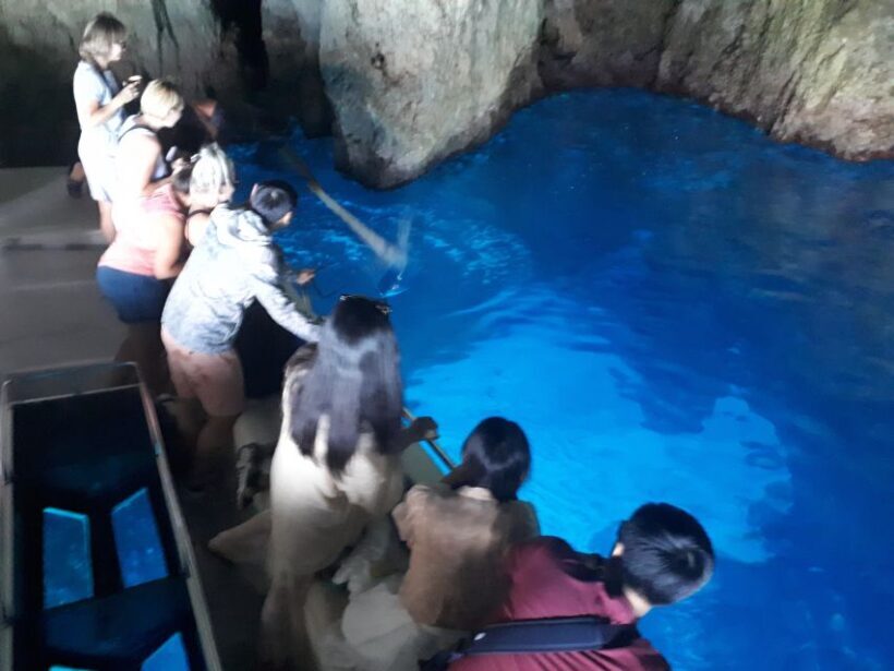 From St.Nikolaos: Boat Cruise to Navagio Beach & Blue Caves - Final Thoughts: Who’s This Tour For?