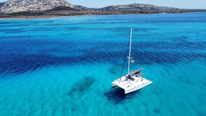 From Stintino: Catamaran tour to Asinara Island - A Detailed Look at the Experience