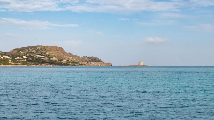 From Stintino: Catamaran tour to Asinara Island - The Sum Up: Is This Tour for You?
