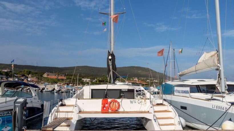 From Stintino: Catamaran tour to Asinara Island - FAQ
