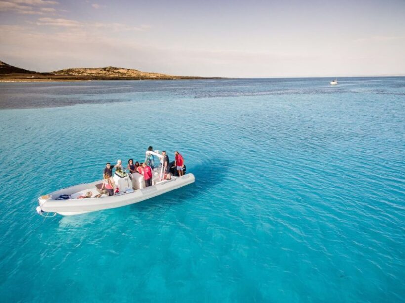 From Stintino: Half-day dinghy tour in Asinara Gulf - An In-Depth Look at the Dinghy Tour in Asinara Gulf