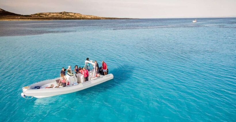 From Stintino: Half-day dinghy tour in Asinara Gulf - The Sum Up