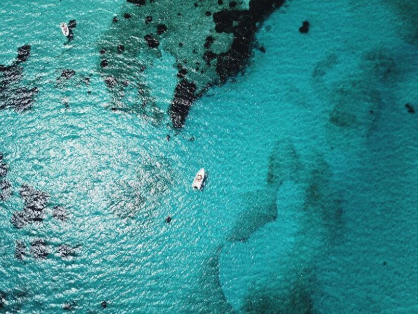 From Stintino: Half-day dinghy tour in Asinara Gulf - FAQs
