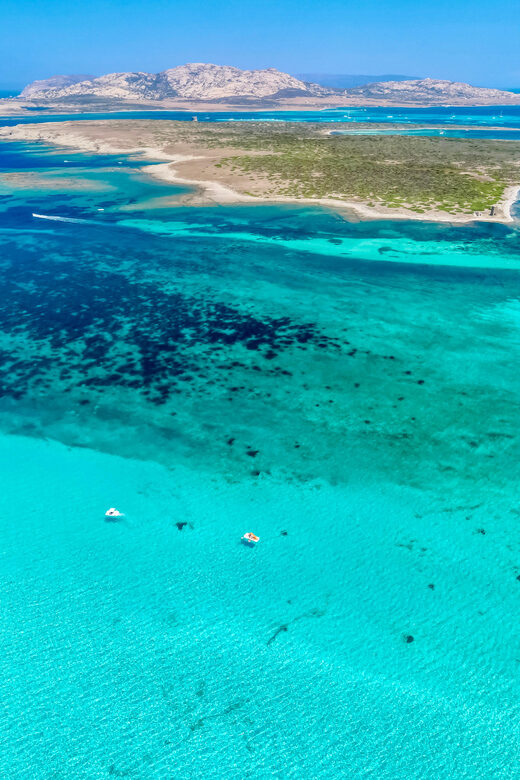 From Stintino: Half-Day Speedboat Tour to Asinara - Key Points