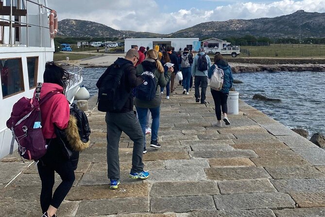 From Stintino: minivan tour of Asinara - FAQ