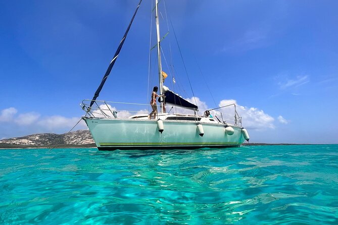 From Stintino: sailboat tour to Asinara - The Sum Up