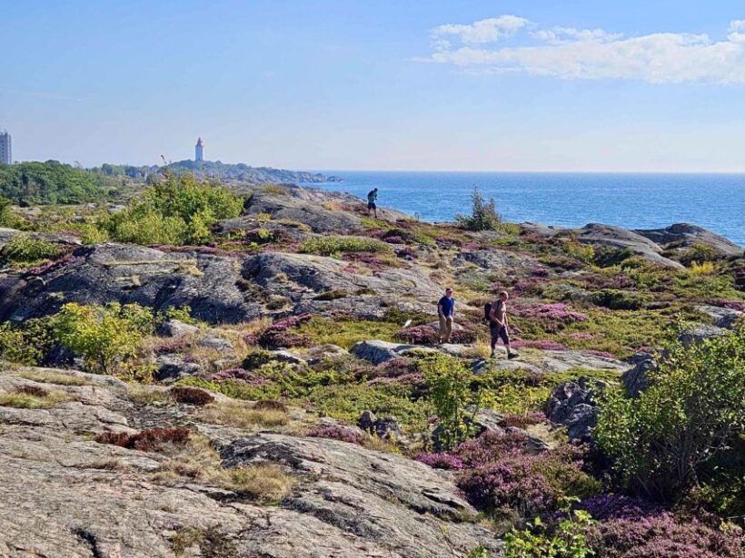 From Stockholm: Archipelago hike to Landsort lighthouse - The Sum Up