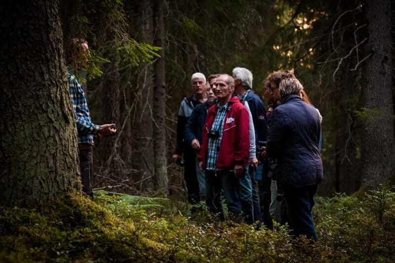 From Stockholm: Moose & Wildlife Safari with Campfire Dinner - The Guides and Group Size
