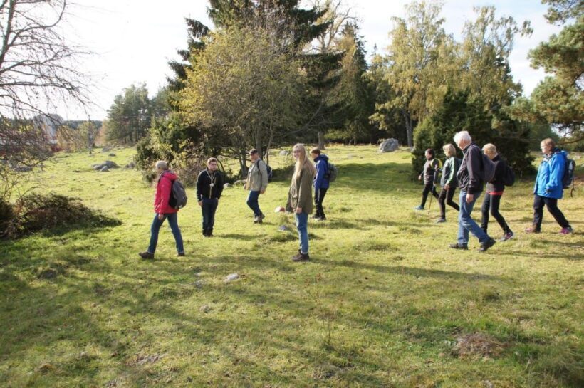 From Stockholm: Viking Culture Guided Tour with Transfer - Viking Council and Society