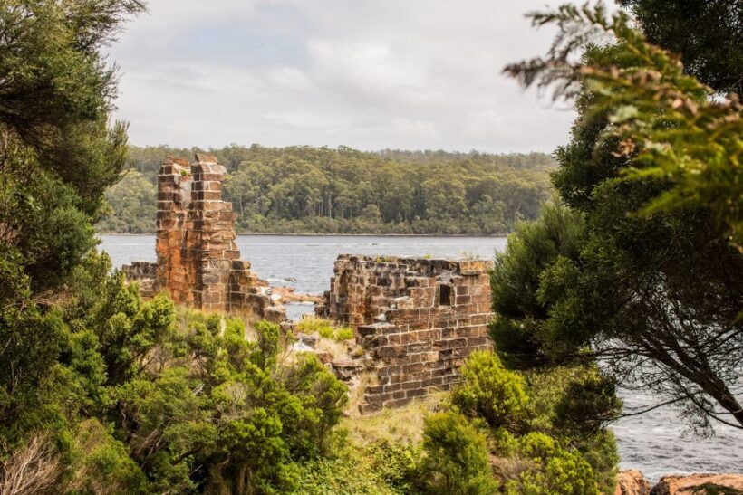 From Strahan: Evening Dinner Cruise on the Gordon River - FAQs About the Gordon River Dinner Cruise