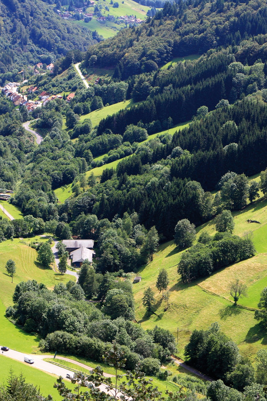 From Strasbourg: Black Forest and Baden Baden Day Trip - Who Will Love This Tour?