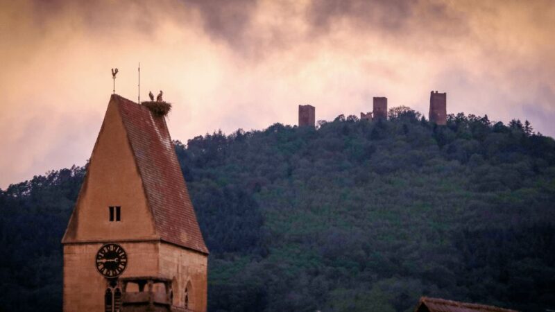 From Strasbourg: Colmar & Alsace Wine Route Private Day Trip - Discovering Riquewihr: A Fortified Medieval Village