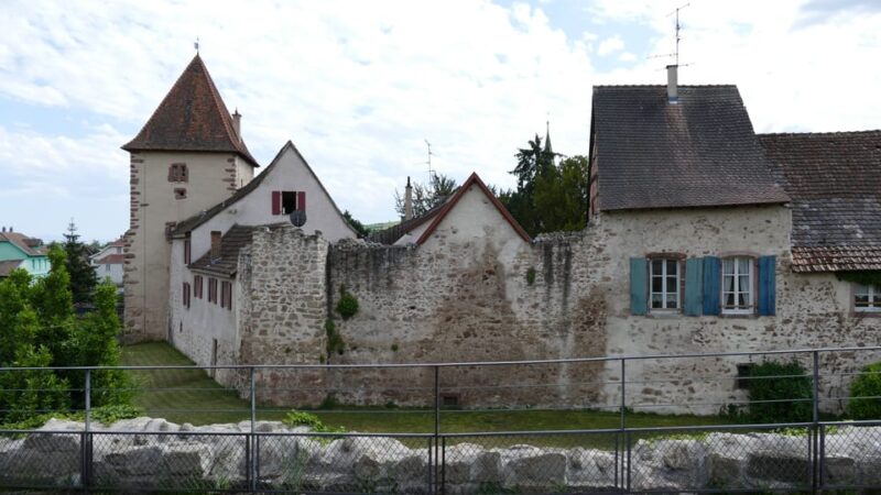 From Strasbourg: Medieval Villages & Wine Tasting Day Trip - Authenticity and Unique Experiences