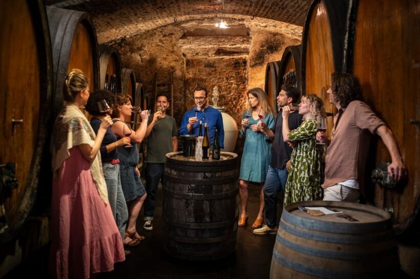 From Strasbourg: Private Alsace Classic Wine Tour - What Travelers Say