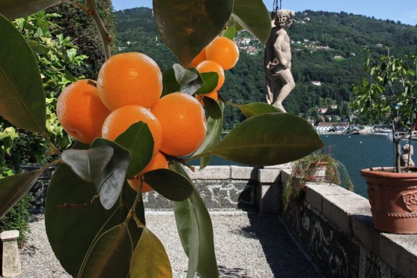 From Stresa: 2 Borromean Islands Hop-on Hop-off Boat Tour - Frequently Asked Questions