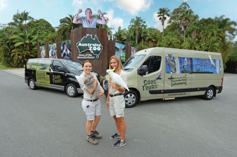 From Sunshine Coast: Australia Zoo Entry Ticket and Transfer - Key Points