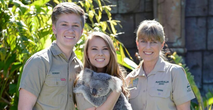 From Sunshine Coast: Australia Zoo Entry Ticket and Transfer - How the Day Unfolds