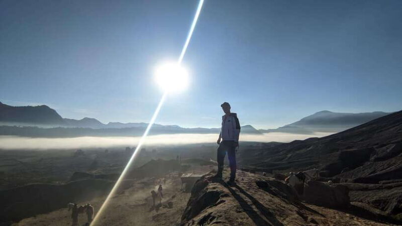 From Surabaya: 1D Private Tour Bromo Sunrise - The Highlights That Make This Tour Shine