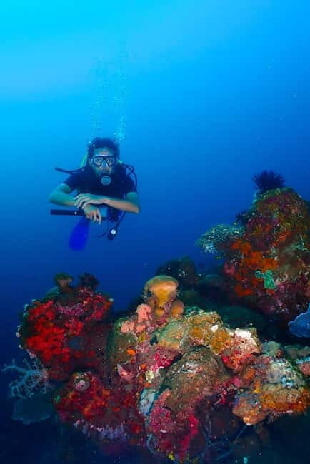 From Surabaya: Banyuwangi 2-day Diving Tour - Key Points