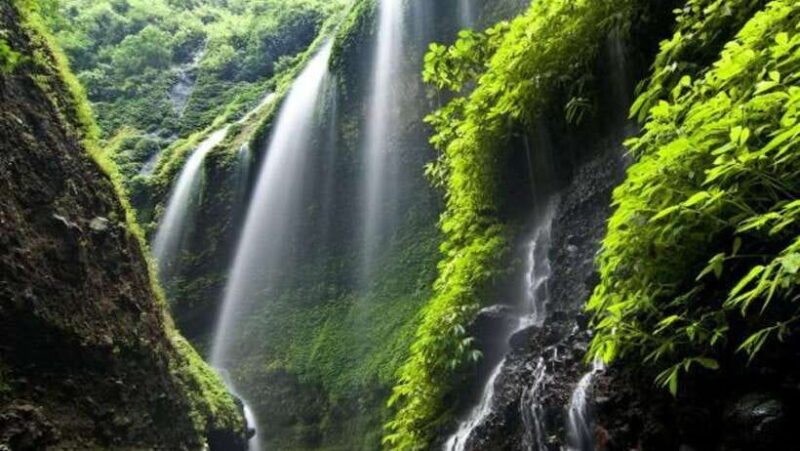 From Surabaya/Malang: Mount Bromo and Madakaripura Day Tour - Lunch at a Local Restaurant: Fuel for the Journey