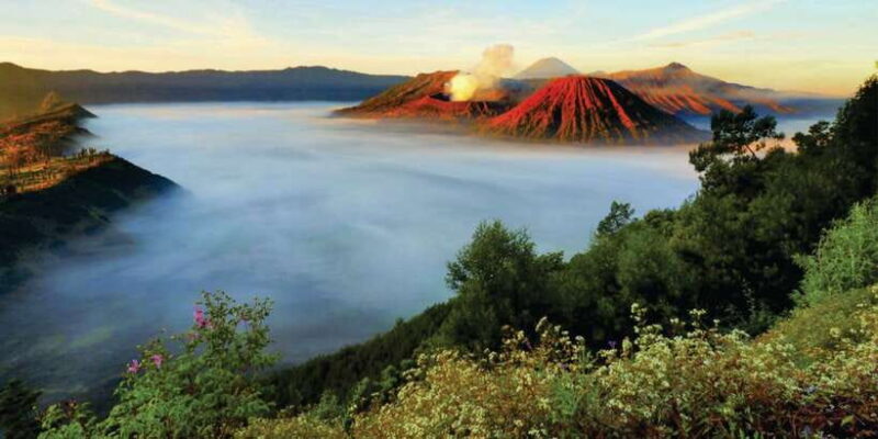 From Surabaya: Mt. Bromo Sunrise Private Trip - The Journey Begins: Pick-Up and Early Departure