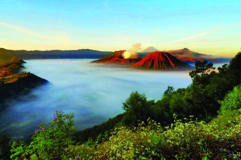 From Surabaya: Mt. Bromo Sunrise Private Trip - Who Should Consider This Tour?
