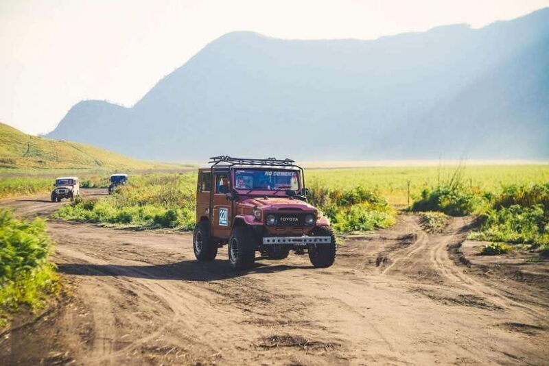 From Surabaya or Malang: 3-Day Bromo & Ijen Tour & Stay - Who Should Consider This Tour?