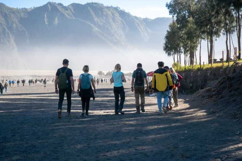 From Surabaya or Malang : Bromo & Ijen English Guide Tour - Final Thoughts
