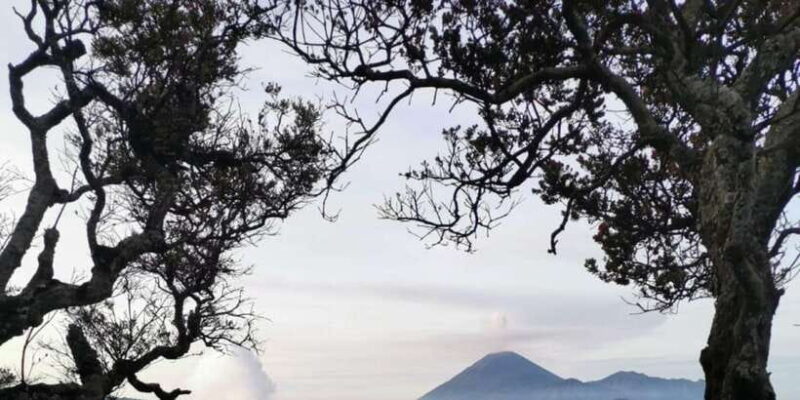 From Surabaya or Malang: Share Tour Bromo Midnight(12 hours) - What’s Included and What’s Not