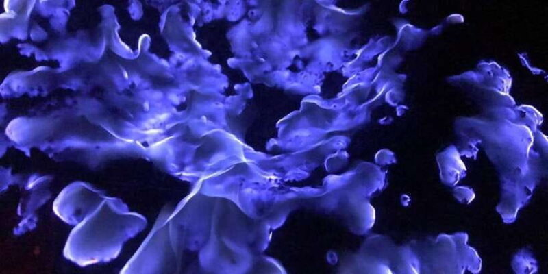 From Surabaya or Malang: Tumpak sewu, Mount Bromo, Ijen 3D2N - Key Points