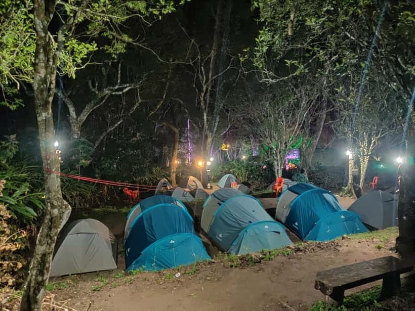 From Suryanelli: Kolukkumalai Tent Stay - An In-Depth Look at the Kolukkumalai Tent Stay Experience