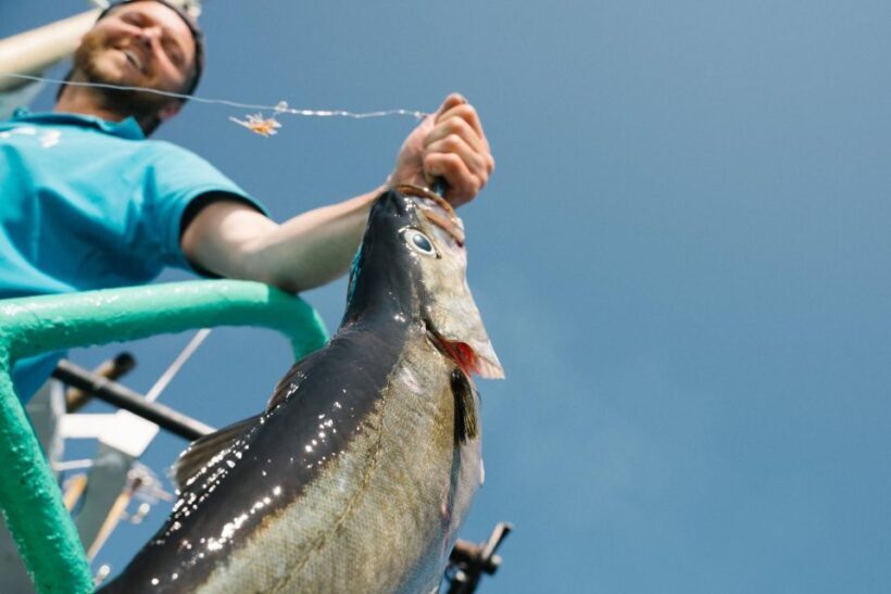 From Svolvaer: Lofoten Fishing Boat Cruise - An In-Depth Look at the Lofoten Fishing Boat Cruise