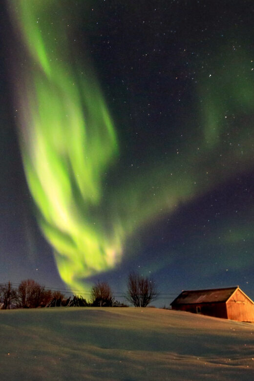 From Svolvaer: Private Northern Lights Search Trip - Key Points