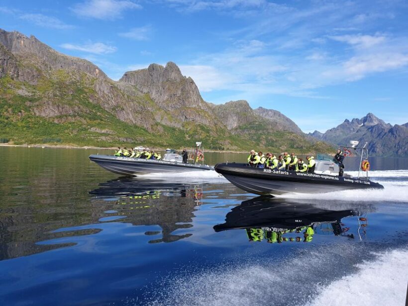 From Svolvaer: Trollfjorden Wildlife RIB Cruise - An Authentic Norwegian Adventure on the Water