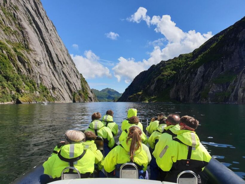 From Svolvaer: Trollfjorden Wildlife RIB Cruise - The Bottom Line