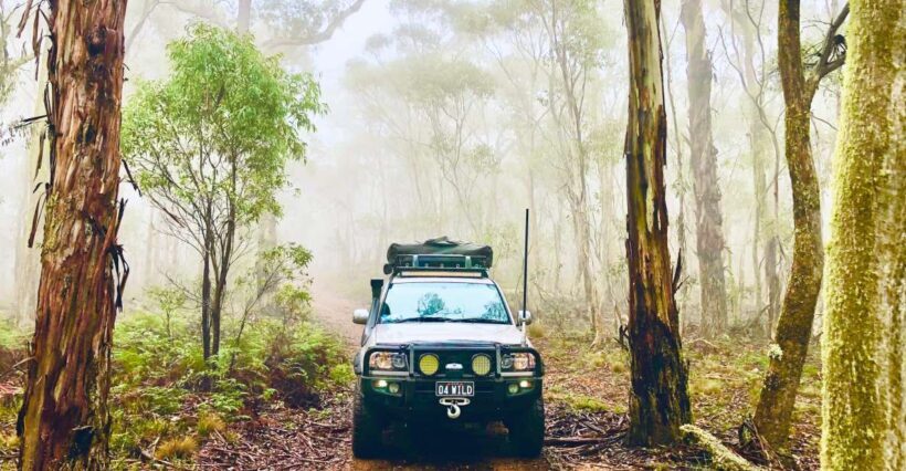 From Sydney: 2-Day Blue Mountains Camping 4WD & River Cruise - An In-Depth Look at the Experience