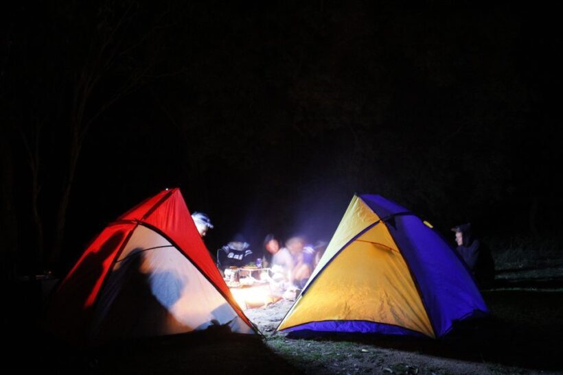 From Sydney: 2-Day Blue Mountains Camping 4WD & River Cruise - Who Will Love This Experience?
