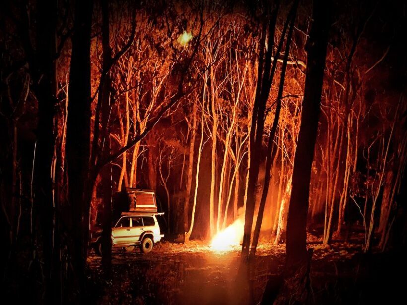 From Sydney: 2-Day Blue Mountains Camping 4WD & River Cruise - Final Thoughts