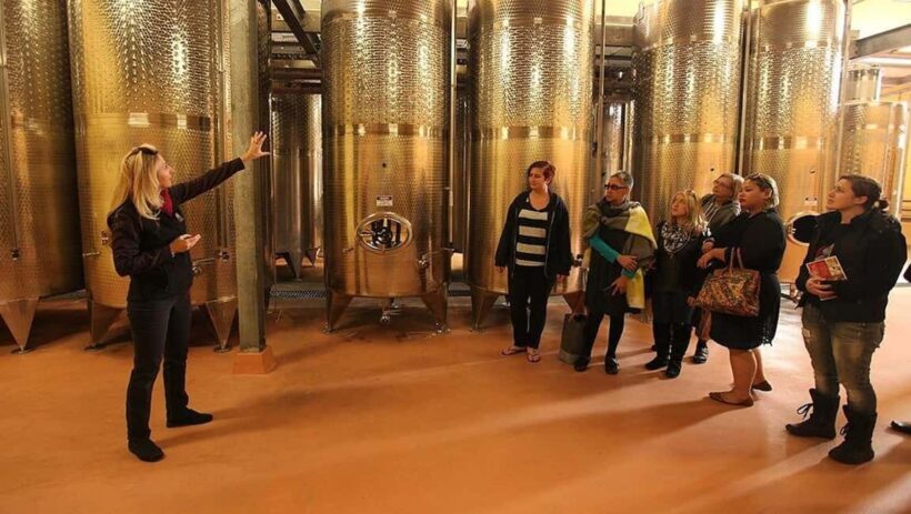 From Sydney: Award-Winning Hunter Valley Wine & Cheese Tour - An Unbiased Look at the Hunter Valley Wine & Cheese Tour