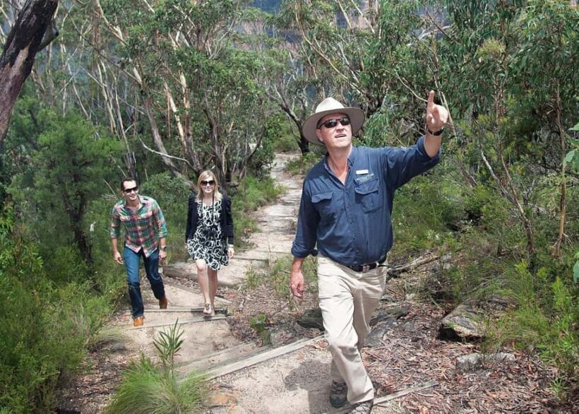 From Sydney: Blue Mountains Bushwalks & Featherdale Tour - An Honest Look at the Itinerary