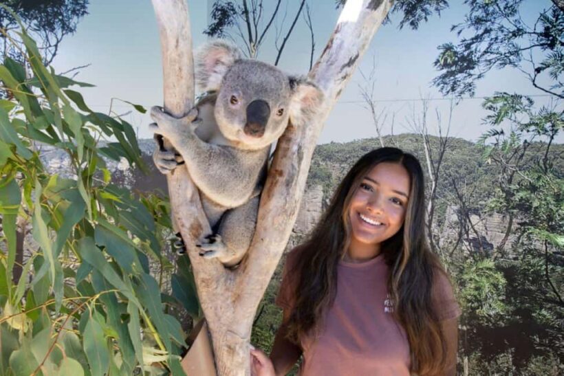 From Sydney: Blue Mountains Day Tour & Hop-on, Hop-off Tour - Who Will Love This Tour?