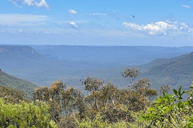 From Sydney: Blue Mountains & Featherdale - Day Tour - Scenic World: The Thrilling Attractions