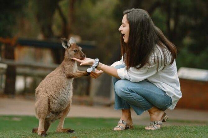 From Sydney Blue Mountains Private Tour with Wildlife Park - Key Points