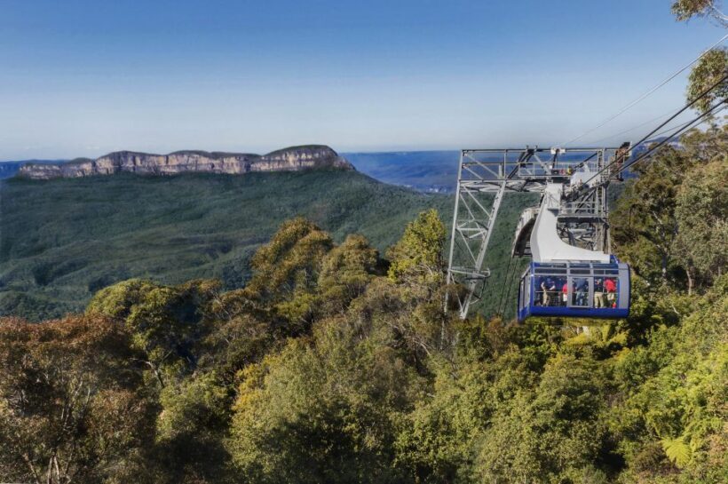From Sydney: Blue Mountains, Scenic World, Zoo, & Ferry Ride - Practical Tips