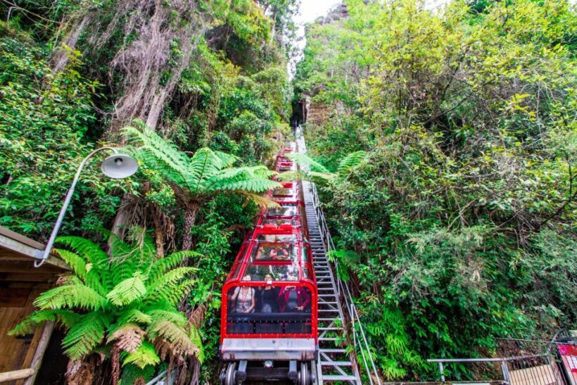 From Sydney: Blue Mountains, Scenic World, Zoo, & Ferry Ride - Authentic Insights from Reviews