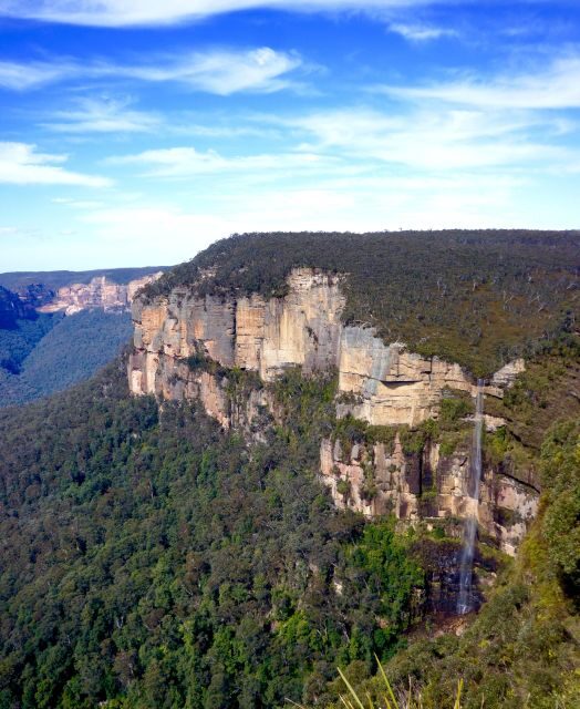 From Sydney: Blue Mountains, Sydney Zoo & Walking Tour - Analyzing the Value