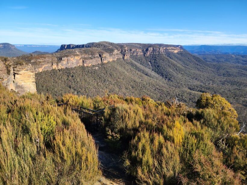 From Sydney: Blue Mountains Tour with Waterfall Walk & Lunch - The Picnic Lunch: A Taste of Local Flavors